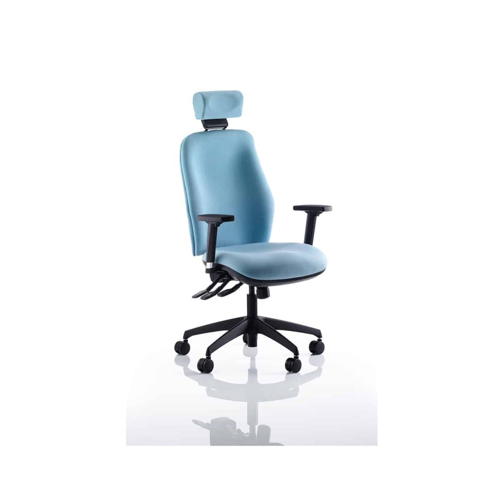 Ergonomic Office Chair With Fantastic Back Support